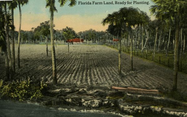 Florida Memory • Florida farm land, ready for planting.
