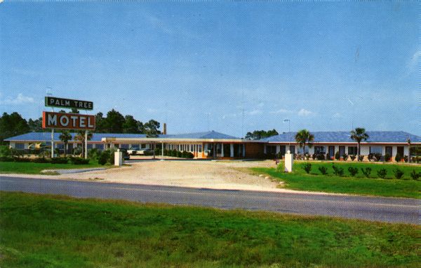 Florida Memory • Palm Tree Motel at Perry.