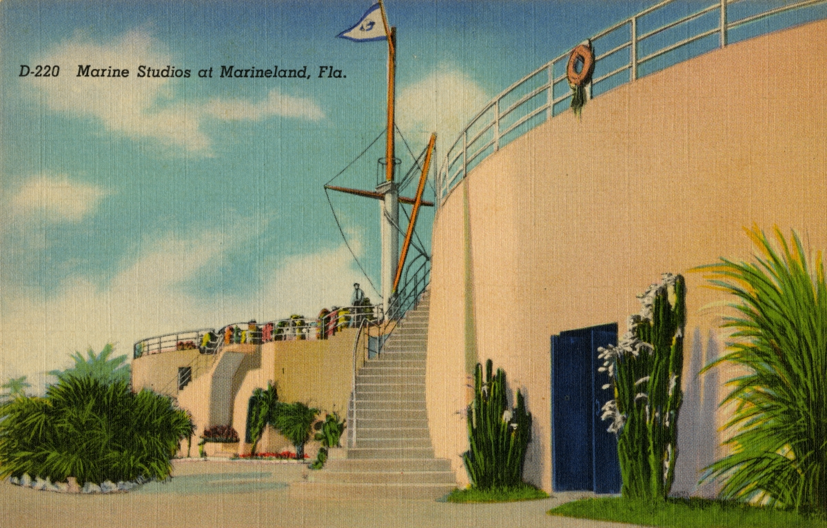 Florida Memory • Marine Studios at Marineland, Fla.