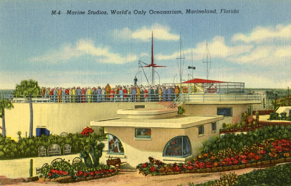 Florida Memory • Marine Studios, World's Only Oceanarium, Marineland ...