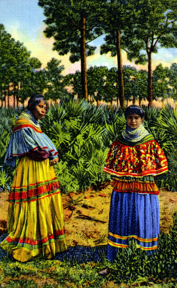 Florida Memory • Seminole Indian women in their native garb - Florida
