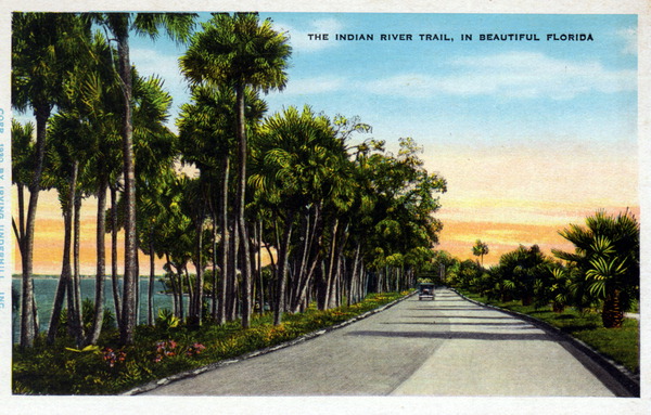 Florida Memory • The Indian River Trail, in beautiful Florida.