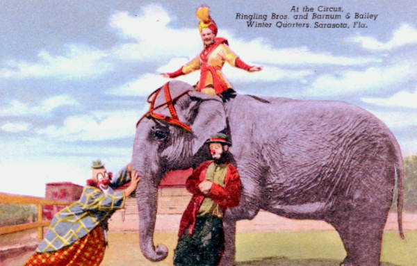 Florida Memory • At the circus, Ringling Brothers and Barnum and Bailey ...