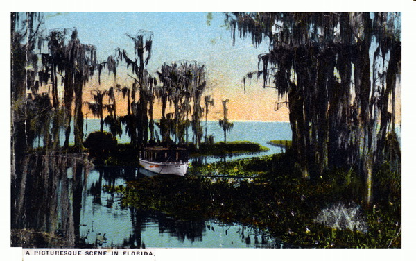 Florida Memory • A picturesque scene in Florida.
