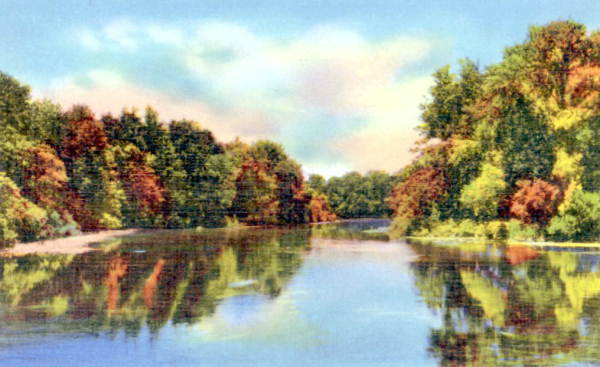 Florida Memory • Silver River below head of Silver Springs.