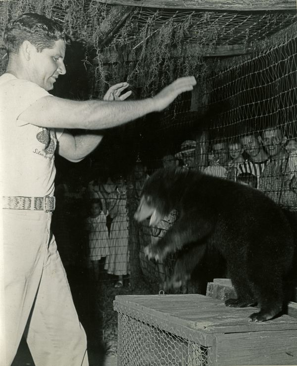 Florida Memory • Ross Allen with bear cub during an exhibition at his ...