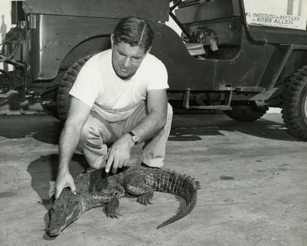 Florida Memory • Ross Allen with small crocodile at his reptile ...