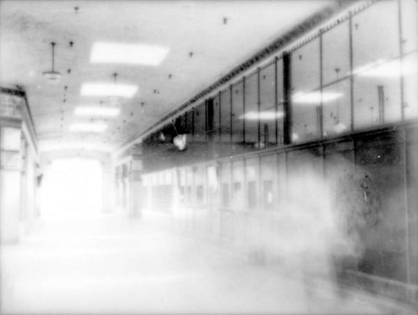 Florida Memory • Interior of a bank - De Soto County, Florida.