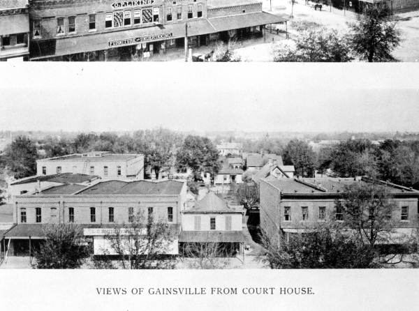 Florida Memory • View from the court house : Gainesville, Florida.