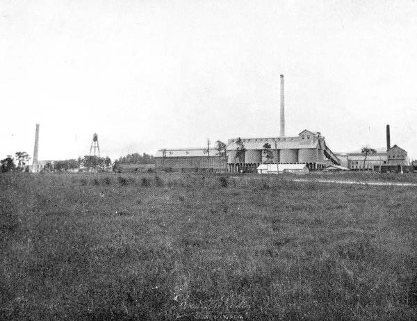Florida Memory • Coronet Phosphate Company : Coronet, Florida