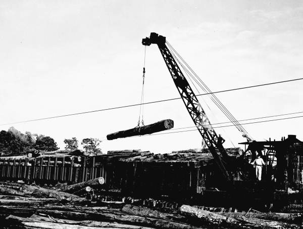 Florida Memory • Loading logs with steam crane