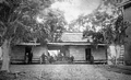 Florida Memory • Log cabin home : Kerr City, Florida