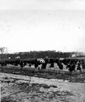 Florida Memory • View of Orange City, Florida