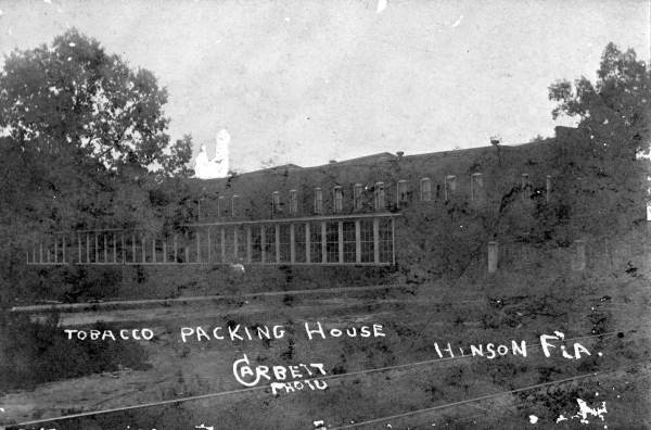 Florida Memory • Tobacco packing house - Hinson, Florida