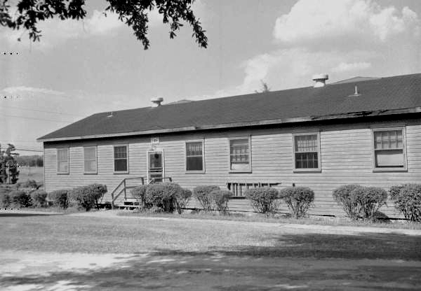 Florida Memory • Sigma Phi Epsilon fraternity house.