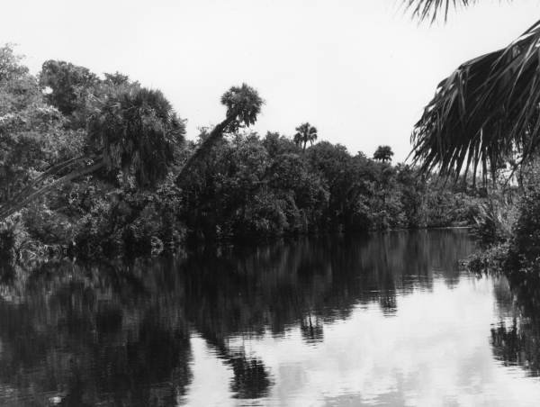 Florida Memory • Orange River in Fort Myers, Florida.