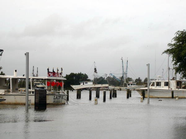 Florida Memory • Damaged boats at marina in Apalachicola flooded during ...