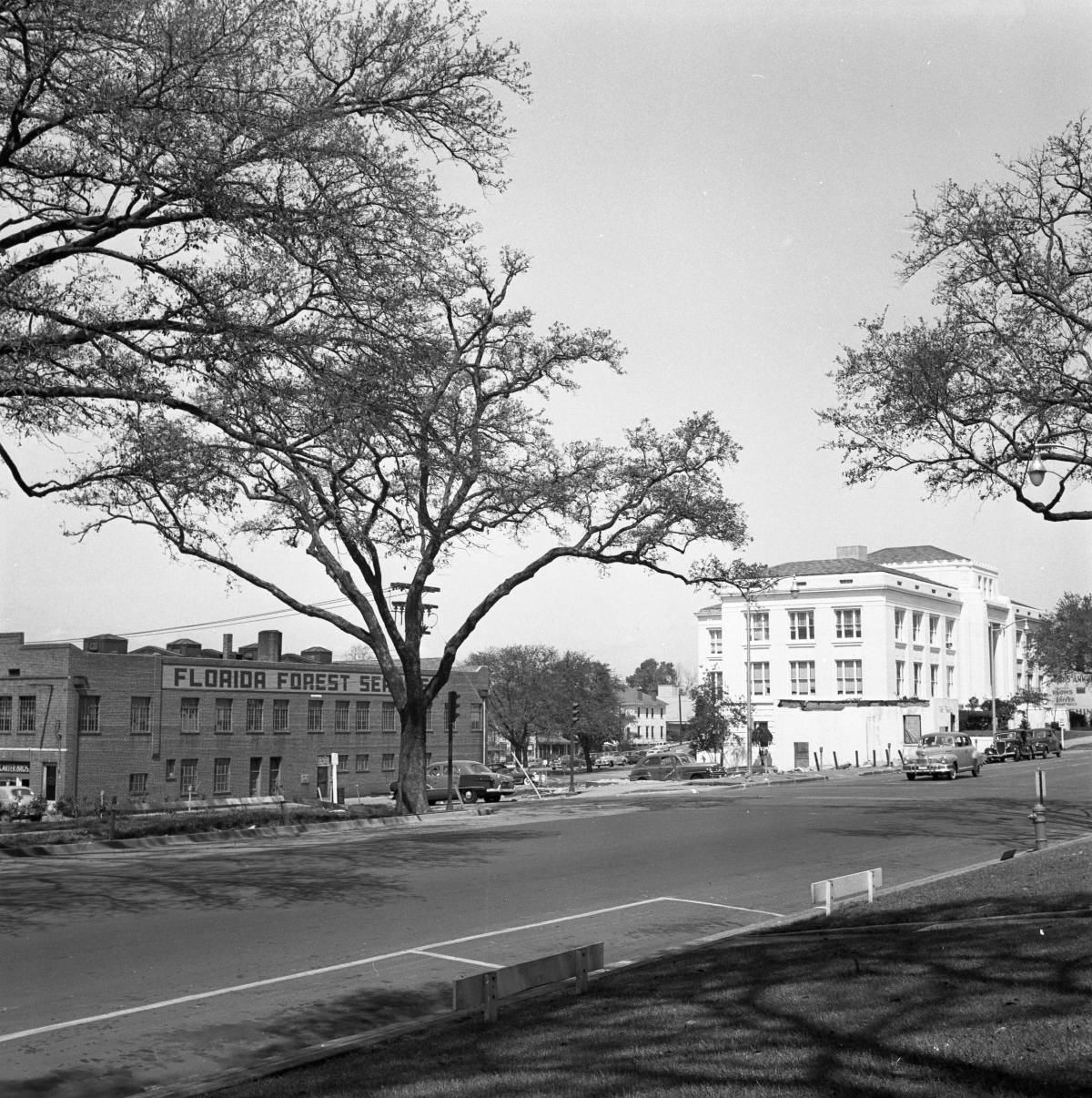 Florida Memory • Martin building.