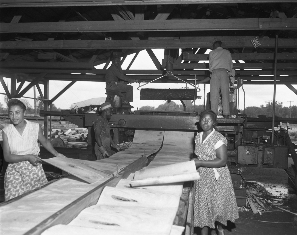 Florida Memory • Sawmill in Madison County