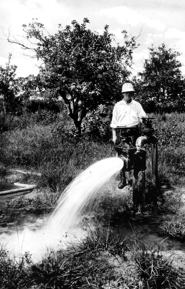 Florida Memory • A man stands behind a flowing artesian well - Tampa ...
