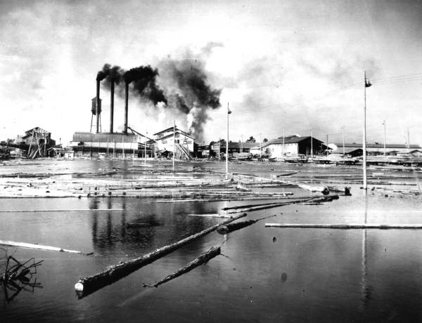 Florida Memory • Putnam Lumber Company mill - Shamrock, Florida