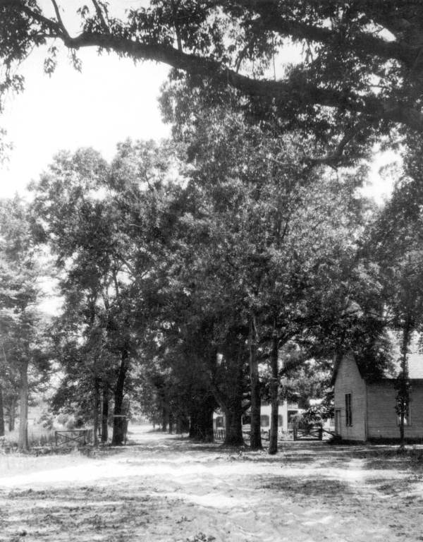 Florida Memory • View of Main Street - Crawfordville, Florida