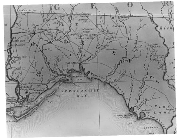Florida Memory • Map of Gadsden County from June 1823 to December 1824