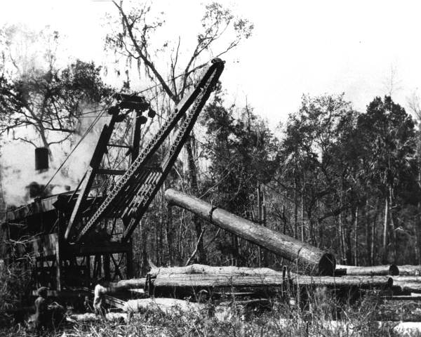 Florida Memory • Loading pine logs onto flatcars