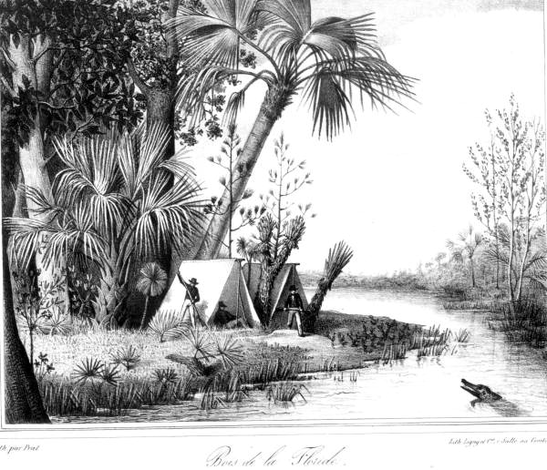 Florida Memory • Lithograph of the Wakulla River by A. Bertrand
