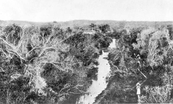 Florida Memory • View of the Everglades from the Sallie observatory.