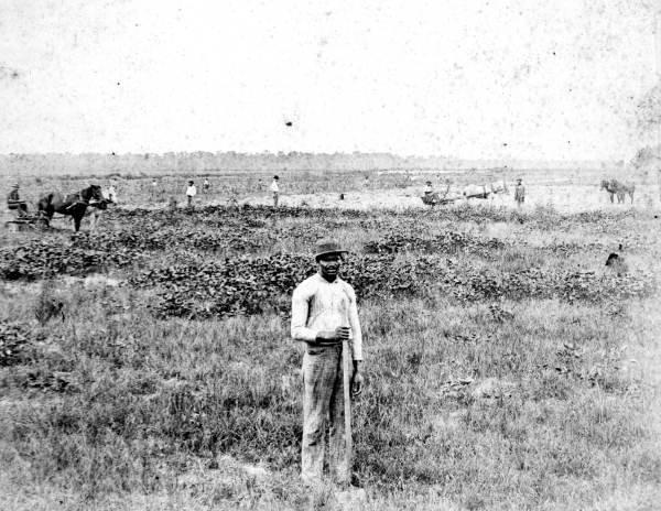 Florida Memory • Workers in field
