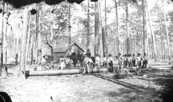 Florida Memory • Logging crew at work site