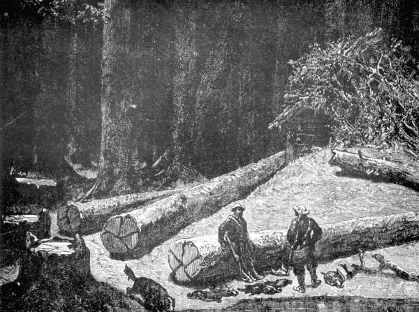 Florida Memory • Logging camp in the pine woods