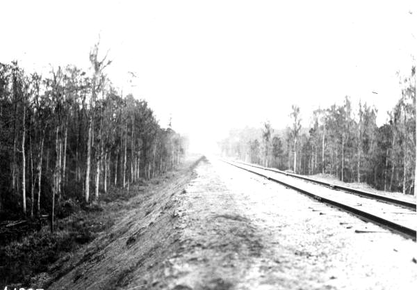 Florida Memory • Atlantic Coast Line Railroad tracks along graded fill