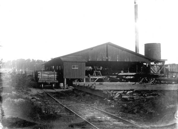 Florida Memory • Bond Lumber Company sawmill - Glenwood, Florida
