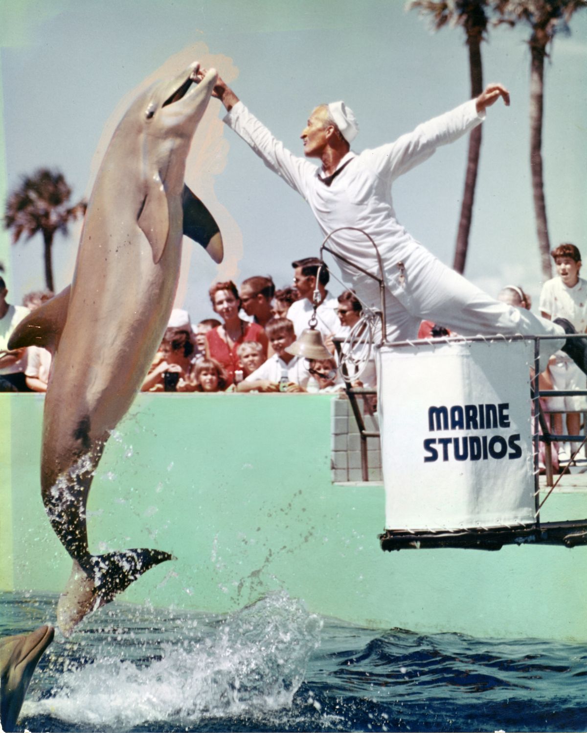 Florida Memory • Marine Studios - Marineland, Florida.