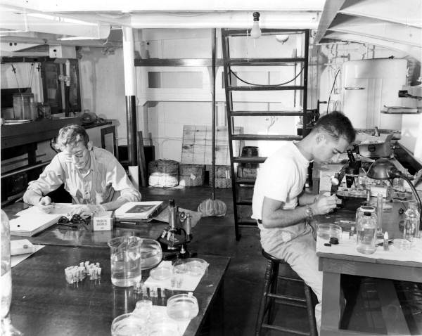 Florida Memory • University of Miami Marine Laboratory scientists ...