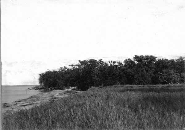 Florida Memory • Dividing line between tropical and subtropical areas