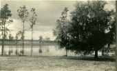 Florida Memory • Scenic view of Lake Orienta from the grounds of the ...