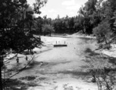 Florida Memory • People enjoying Little River Spring off the Suwannee ...