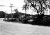 Florida Memory • View of Stanley Papio's folk art museum in Key Largo ...