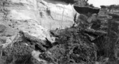 Florida Memory • Limonitic sandstone and light colored sand beneath ...