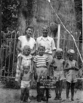 Florida Memory • Mabe family at the "Big Tree" near Longwood.