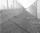 Florida Memory • Raiford prison - Raiford, Florida