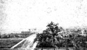 Florida Memory • Looking towards the Lake County Courthouse building ...