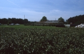 Florida Memory • Building at the Apalachee Correctional Institution ...